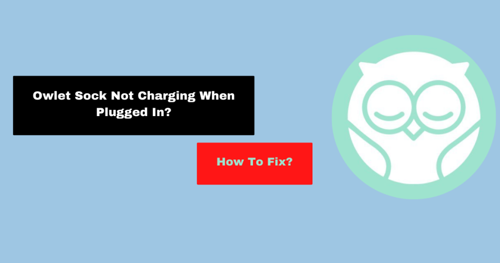 Owlet Sock Not Charging When Plugged In? Best Fix Guide!