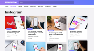 15 Best Picuki Alternatives 2025: [The Ultimate List]