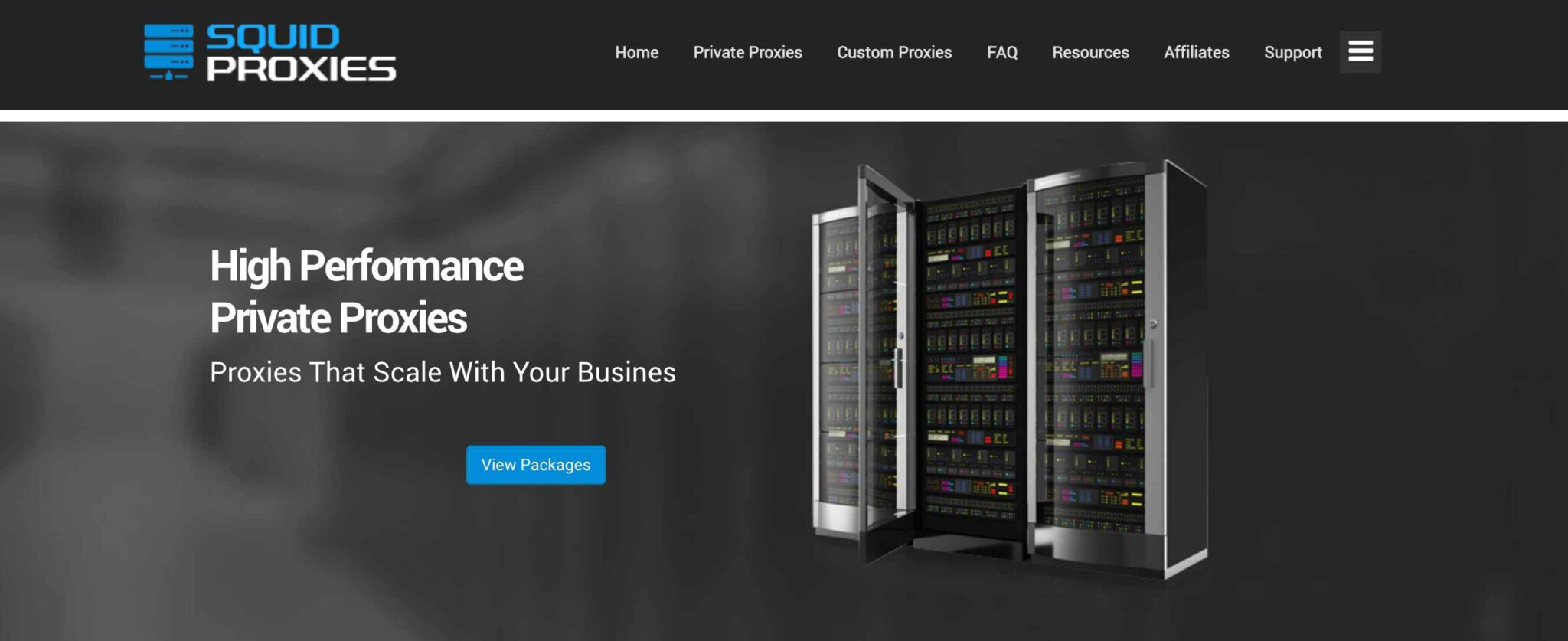 SquidProxies Review 2025: Trusted Proxy Service Provider?