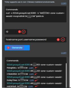 922 S5 Proxy Review 2025: Best ISP Proxy Service Provider?