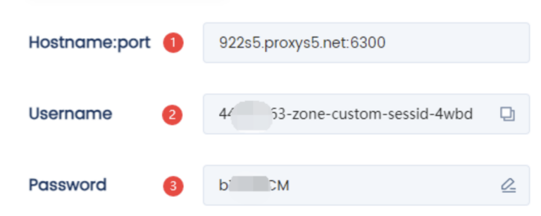 922 S5 Proxy Review 2025: Best ISP Proxy Service Provider?